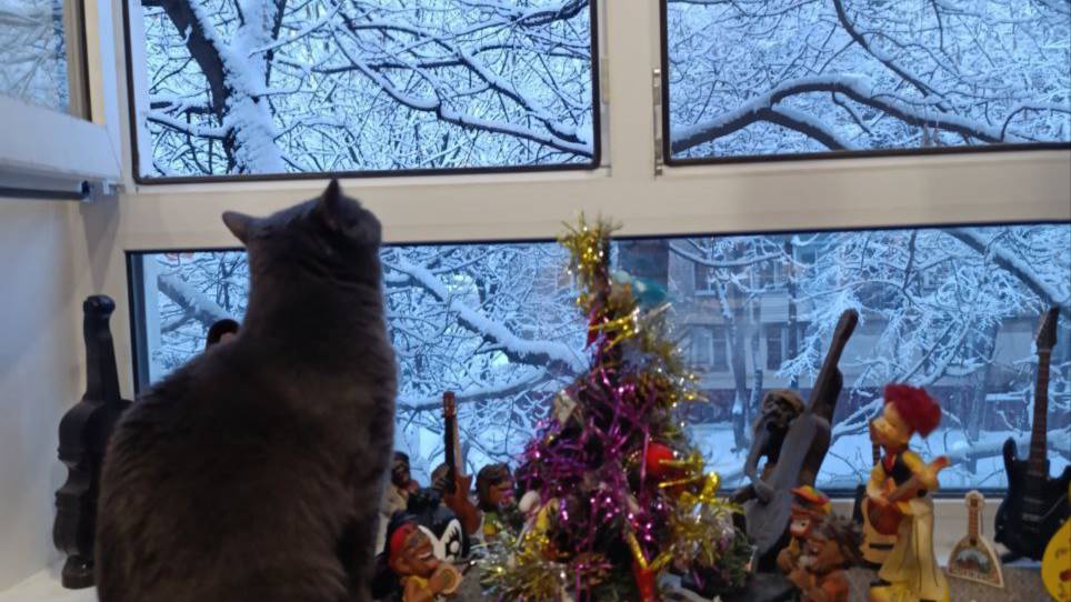 GuitarLady - I WISH YOU HAPPY NEW YEAR