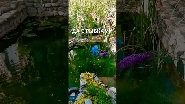 У моря? Ага.