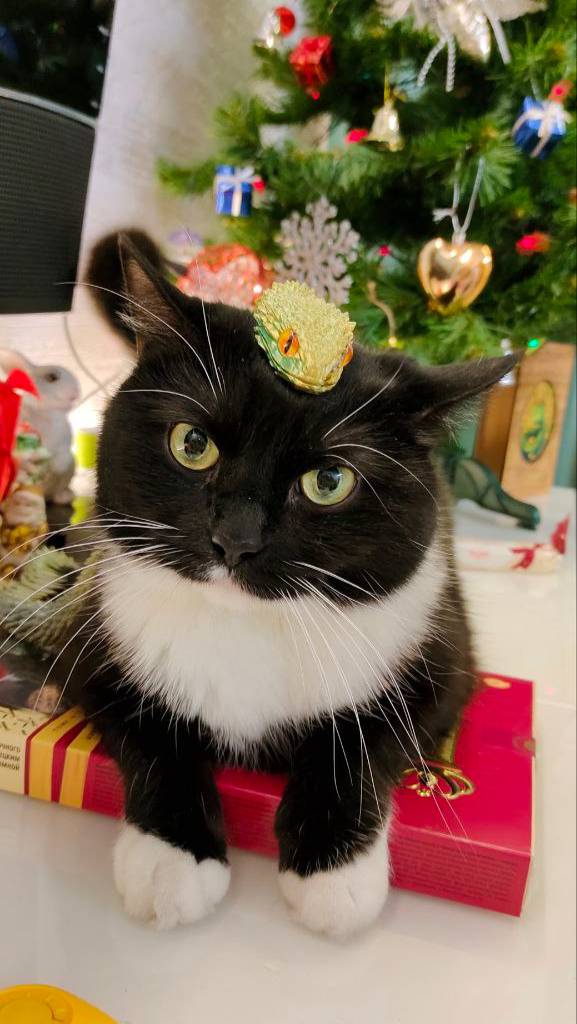 C Новым 2025 годом!