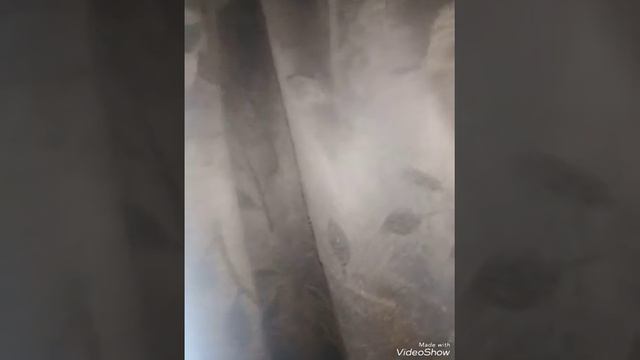 Убрать катышки с одежды