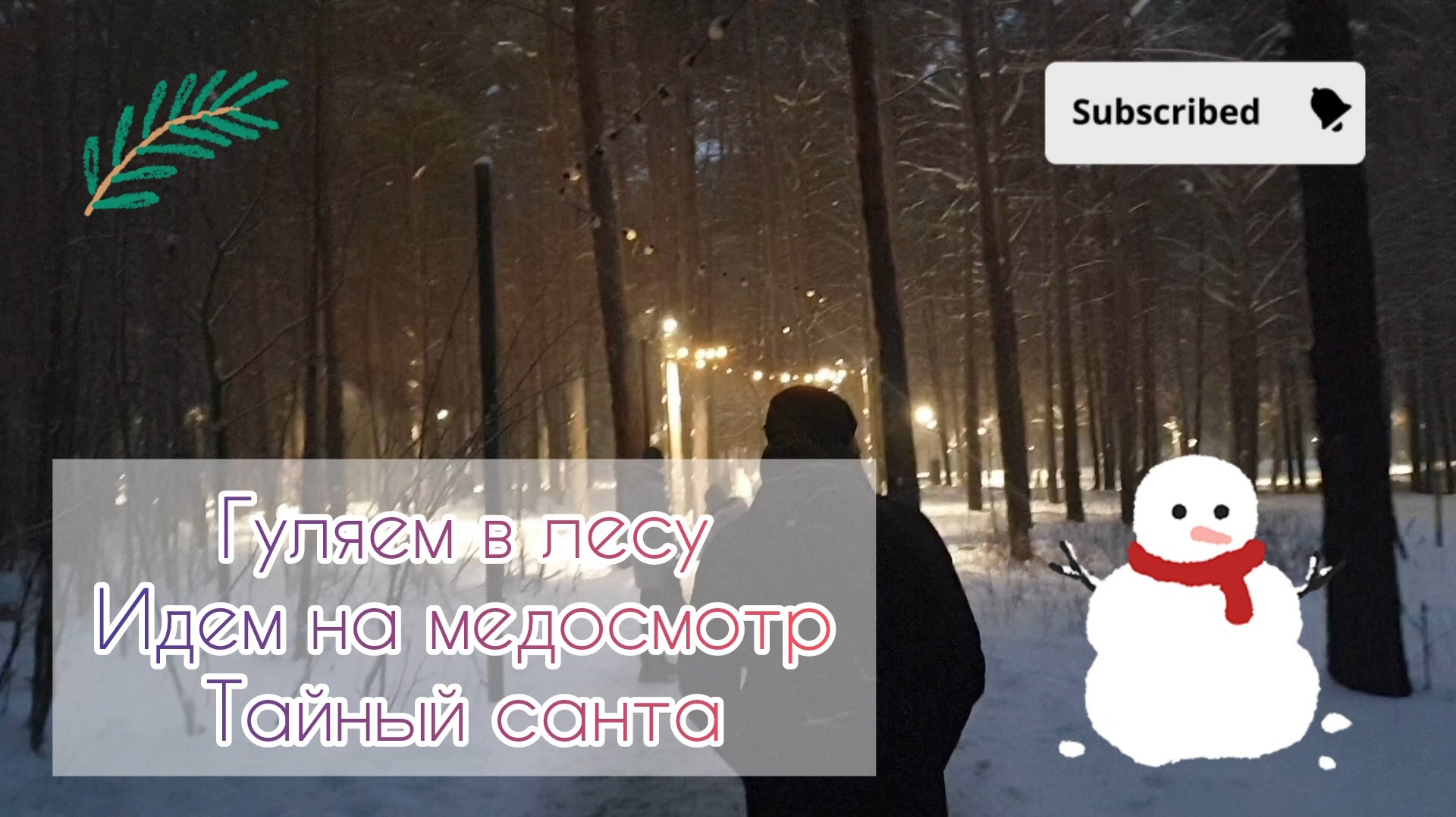 Прогулка в вечернем парке, идем на медосмотр, тайный санта