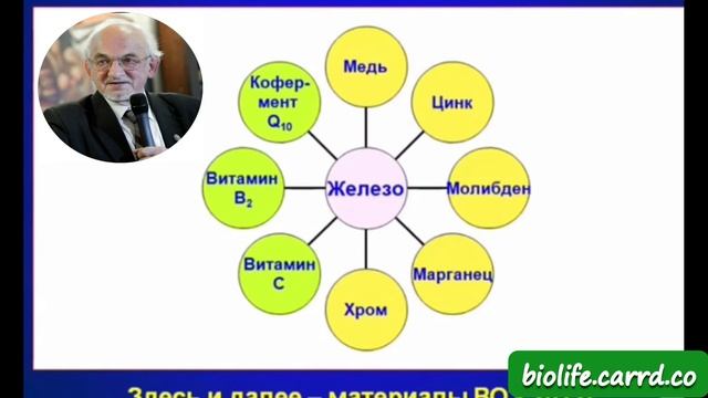 Применение БАД.  Какие БАД эффективные. Мнение Онищенко и Дадали.