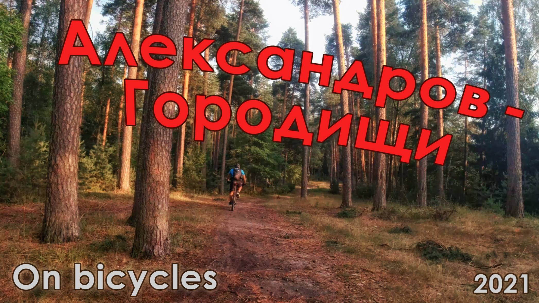 Александров - Городищи (1,5 дня за 2,5 минуты)