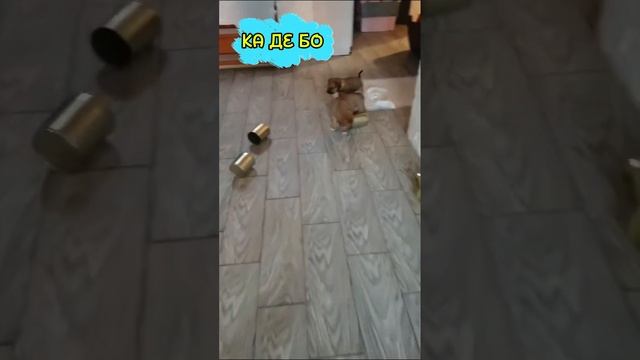 Знакомство со страшшшными и громкими банками