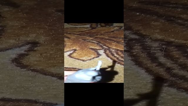 милый котик 2 серия 1 сезона