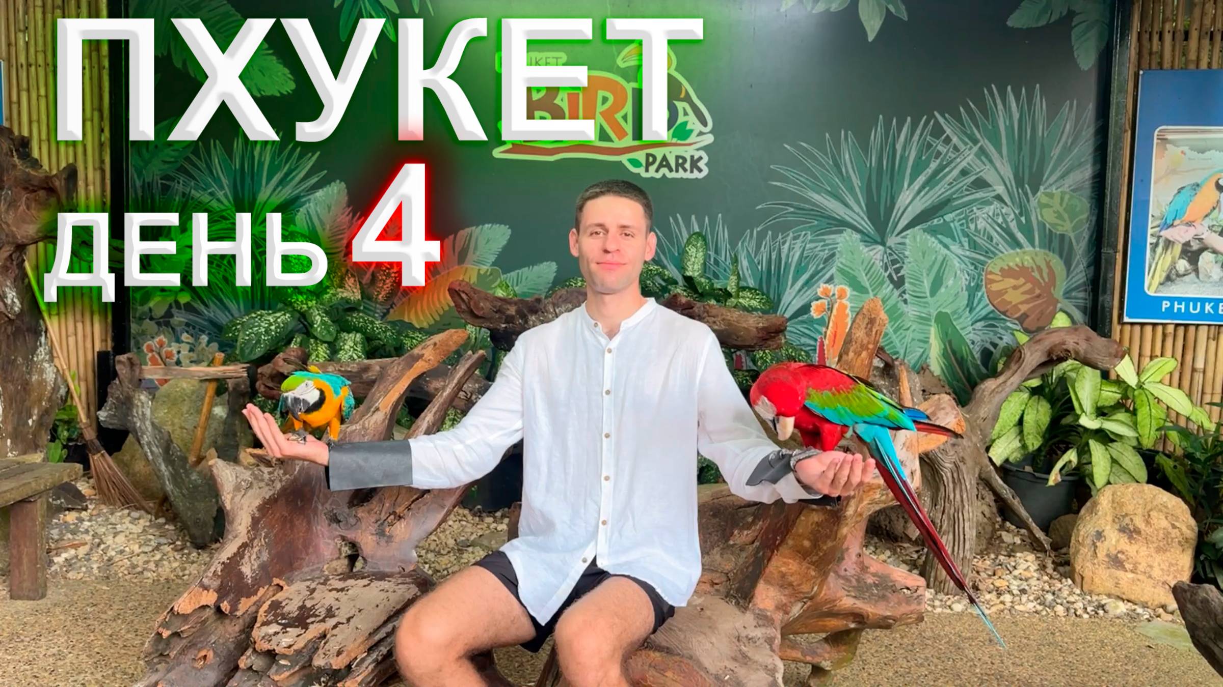 Таиланд Пхукет - 4 день. 7 eleven, Дельфинарий, Парк птиц, магазин мёда,  jungceylon, banzaan, тайки