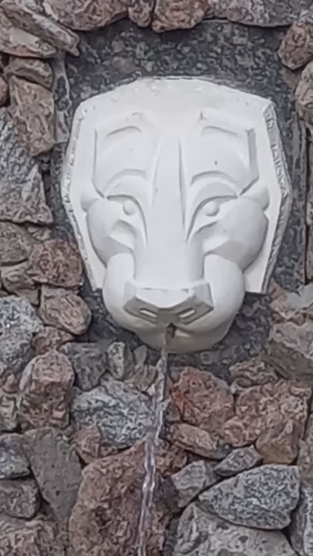 Дача, пруд, фонтан