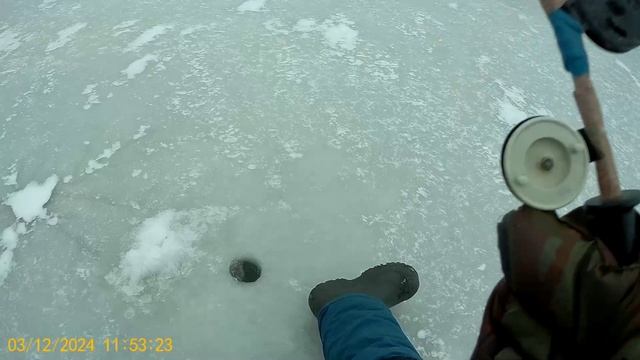 Где-то на Шайтанке речке 03.12.2024