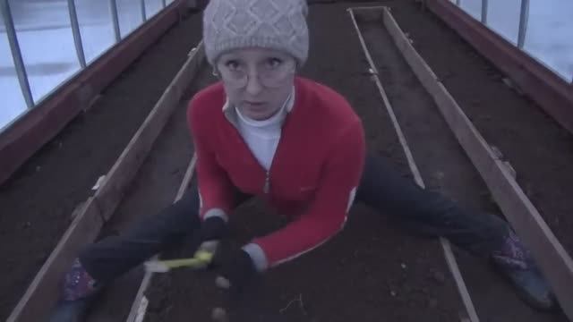 6 соток 1 апреля или. Одна на даче 5 Восстановила гряды в теплице.