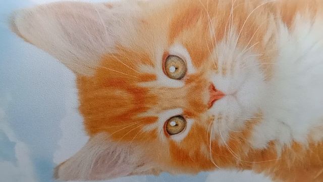 Милые Котята и Щенята_Dz2-32