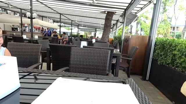 Отдых в Грузии! Набережная Кобулети,праздник красок,ценральный фонтан.