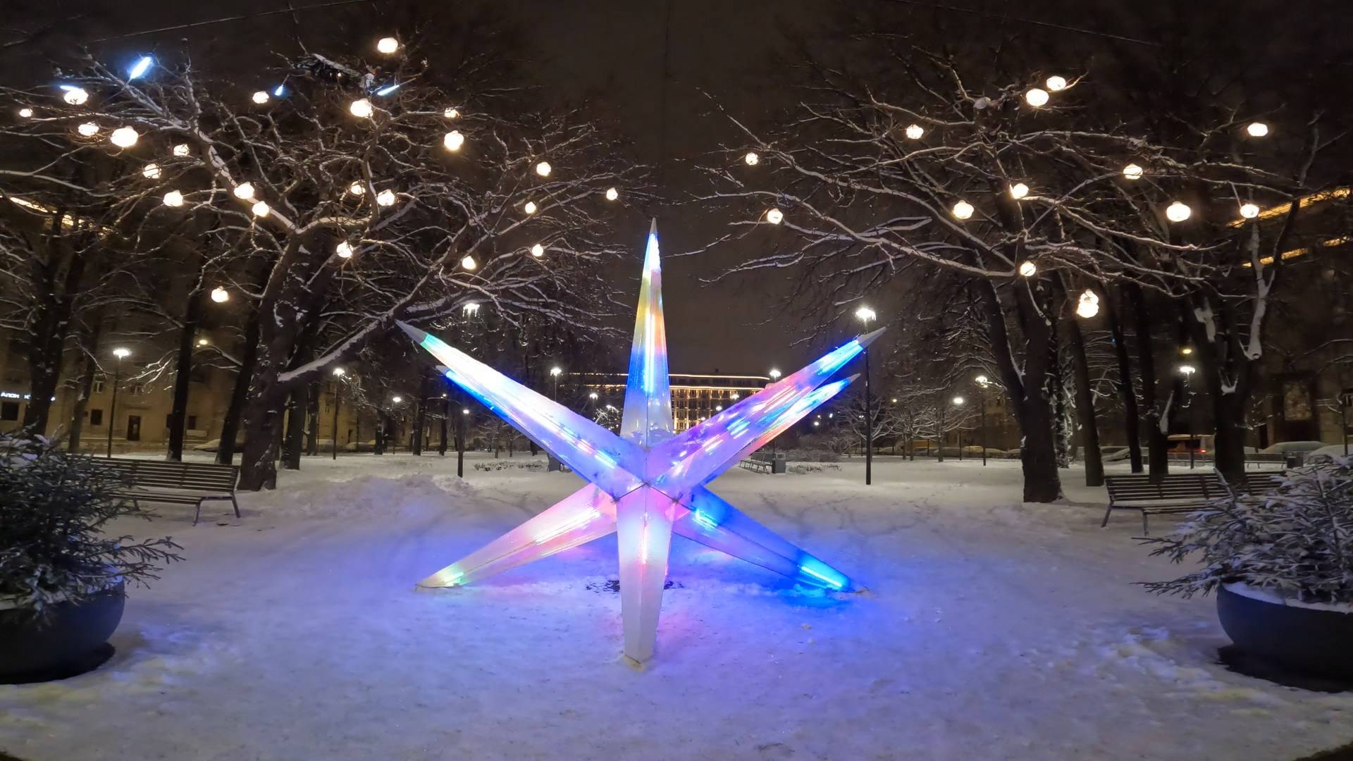 Санкт Петербург Новый год 2025 Ёлки