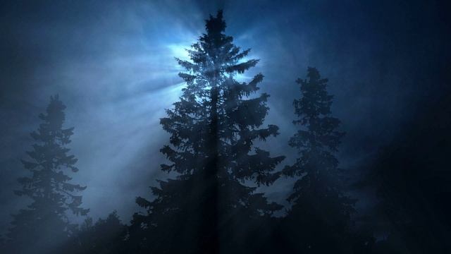 Звук костра и ночного леса. Звуки природы.