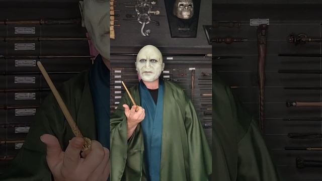 Что за мем? 10 #museum #toys #harrypottercollection #comedy #hogwarts #hp #творчество