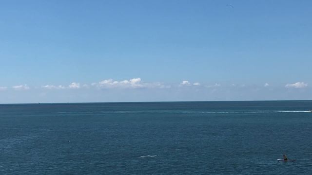 Дельфины на нашем пляже.