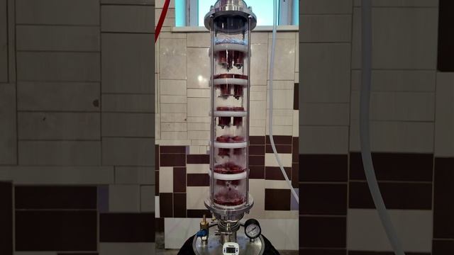 Запуск колпачковой колоны