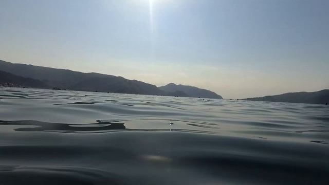 Турция Мармарис 2019 , с нами большая черепаха!)