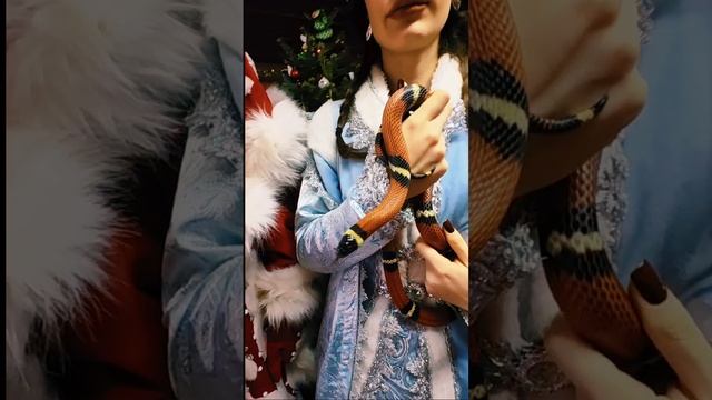 🎄 Ростовский-на-Дону зоопарк поздравляет в Новым годом