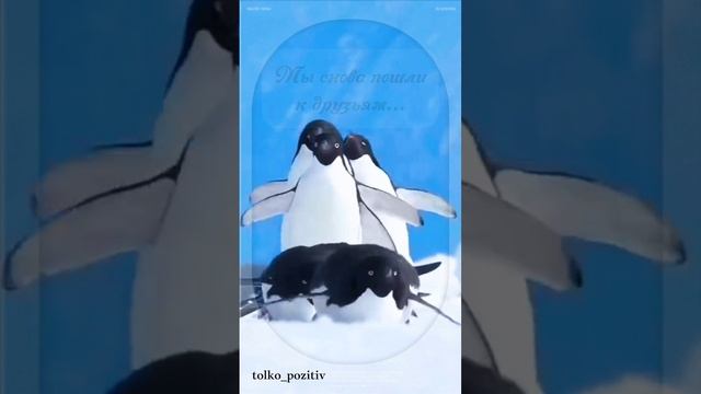 Новогодний юмор