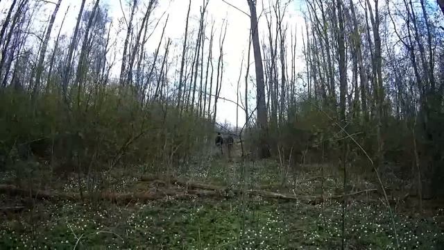 Квадропутешествие Вдоль озера Большое Олбито Мимо Деревни Бояриново - Через Бурелом - Псковская Обла