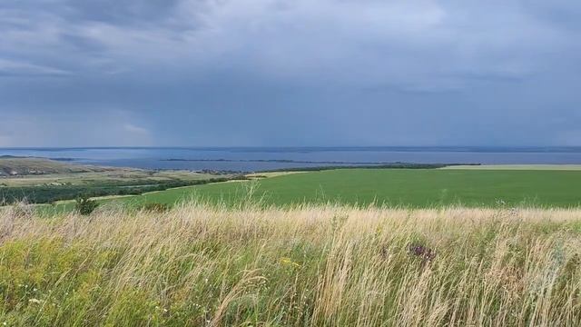 Катаемся на Suzuki Jimny. Собираем грибы.