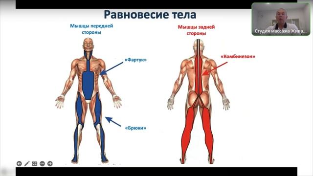 «КУЛИНАРНОЕ» ШОУ – КАК ПОХУДЕТЬ И УБРАТЬ ЦЕЛЛЮЛИТ без диет. Третий день.