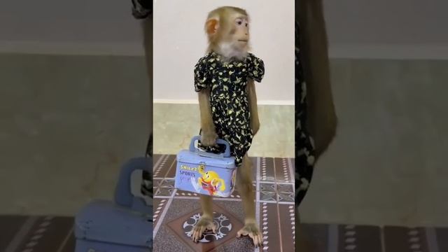 Девушка на свидании