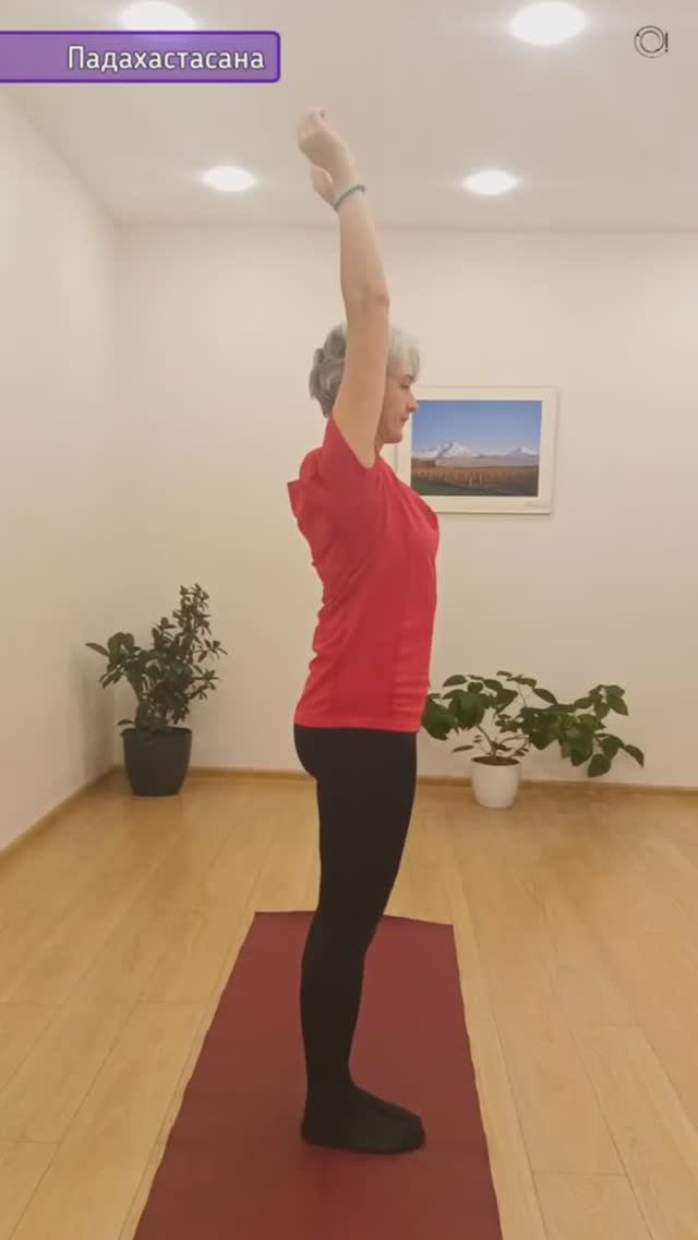 Падахастасана / Простая йога / Йога-центр О!Сознание