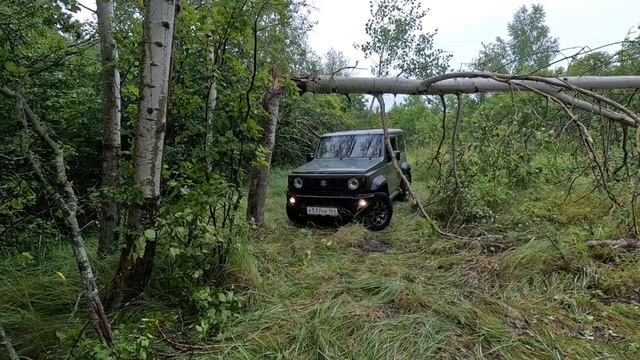 Катаемся на Suzuki Jimny.  Буксуем. Грибное приключение.