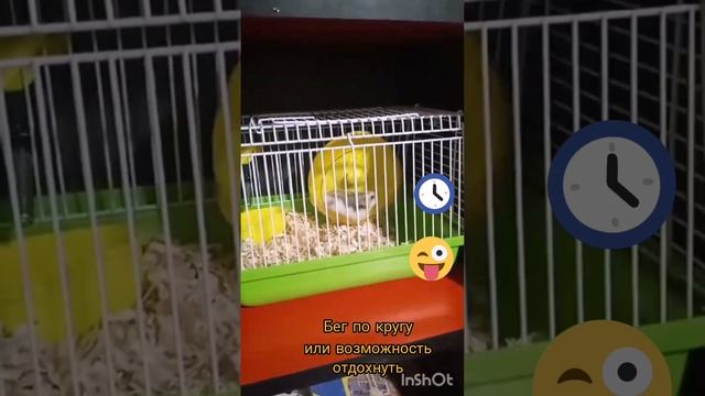 бег по кругу или возможность отдохнуть 💫