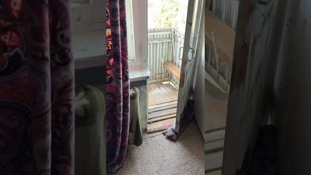 Один день из жизни зеленогорской Золушки♀️#золушка #зеленогоск #красноярск45