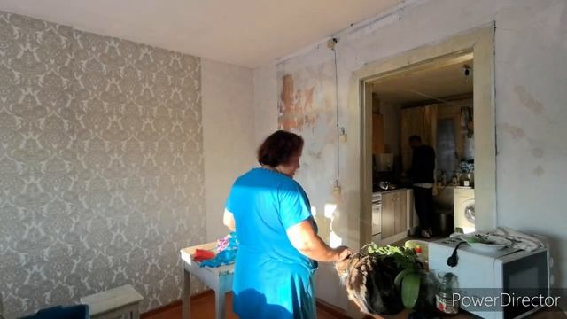 Аборигенка. Купила обои, продолжаю клеит. Жизнь за кадром. 30.12.24