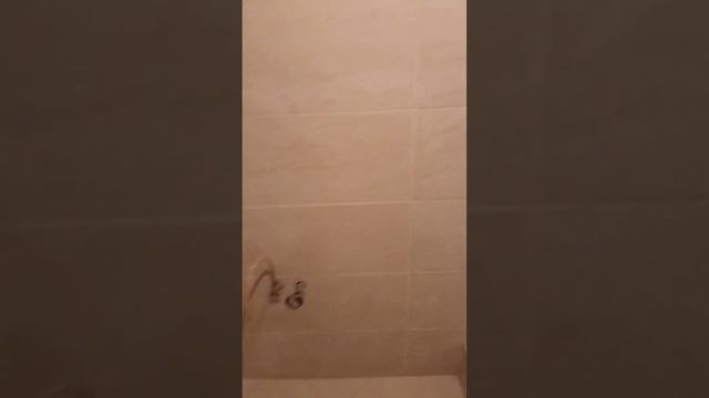 26 октября 2024 г.