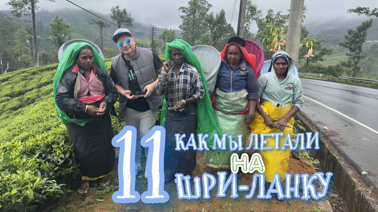 КАК МЫ ЛЕТАЛИ НА ШРИ-ЛАНКУ. ЧАСТЬ 11. ЧАЙНЫЕ ПЛАНТАЦИИ И ЧАЙНАЯ ФАБРИКА.