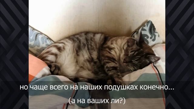 Два года в семье