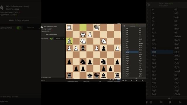 Шахматы для любителей