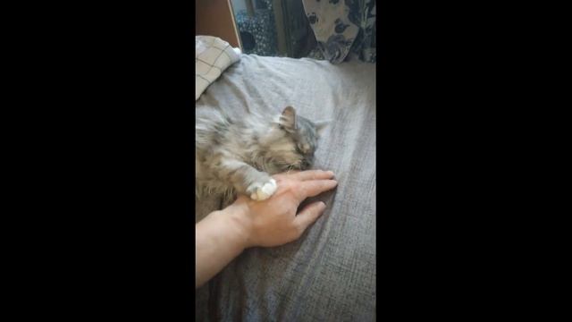 Оман и Скифа