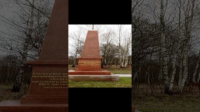 Бородино часть 8