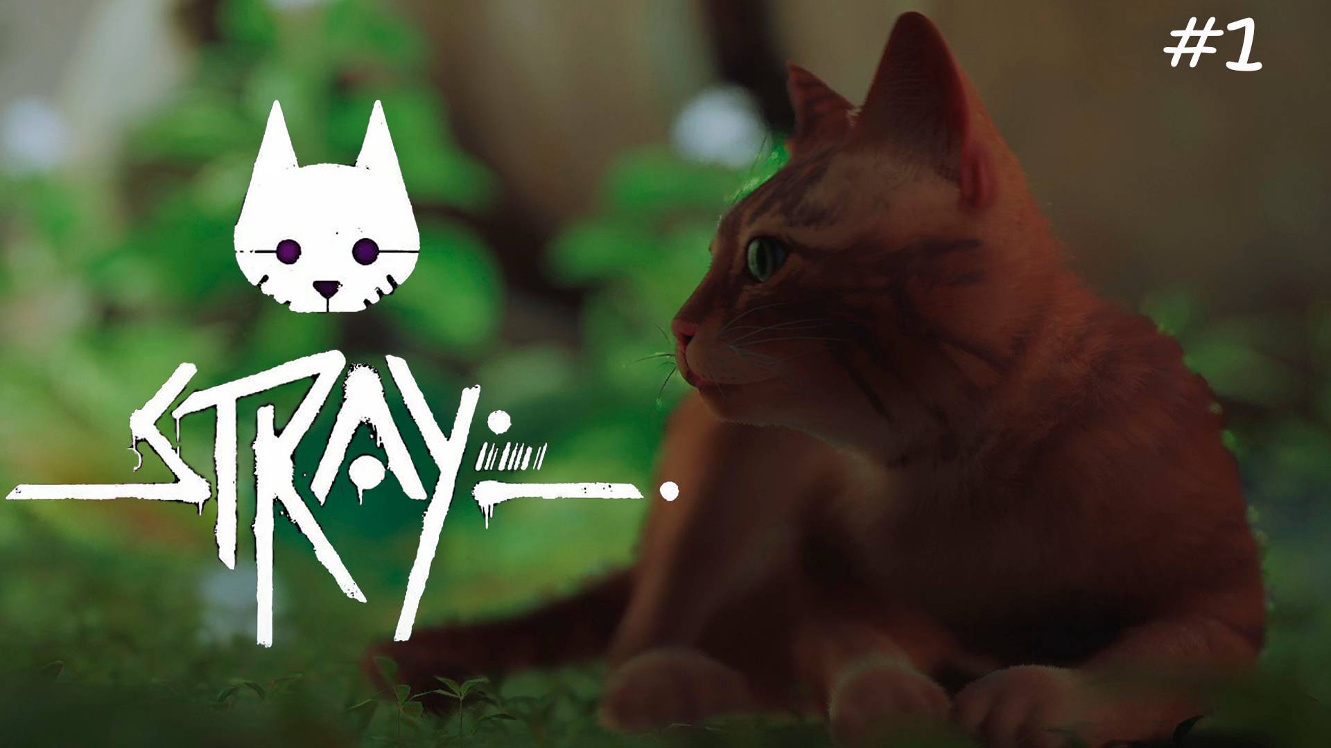 ПАДЕНИЕ КОТИКА ► Stray (2022) #1