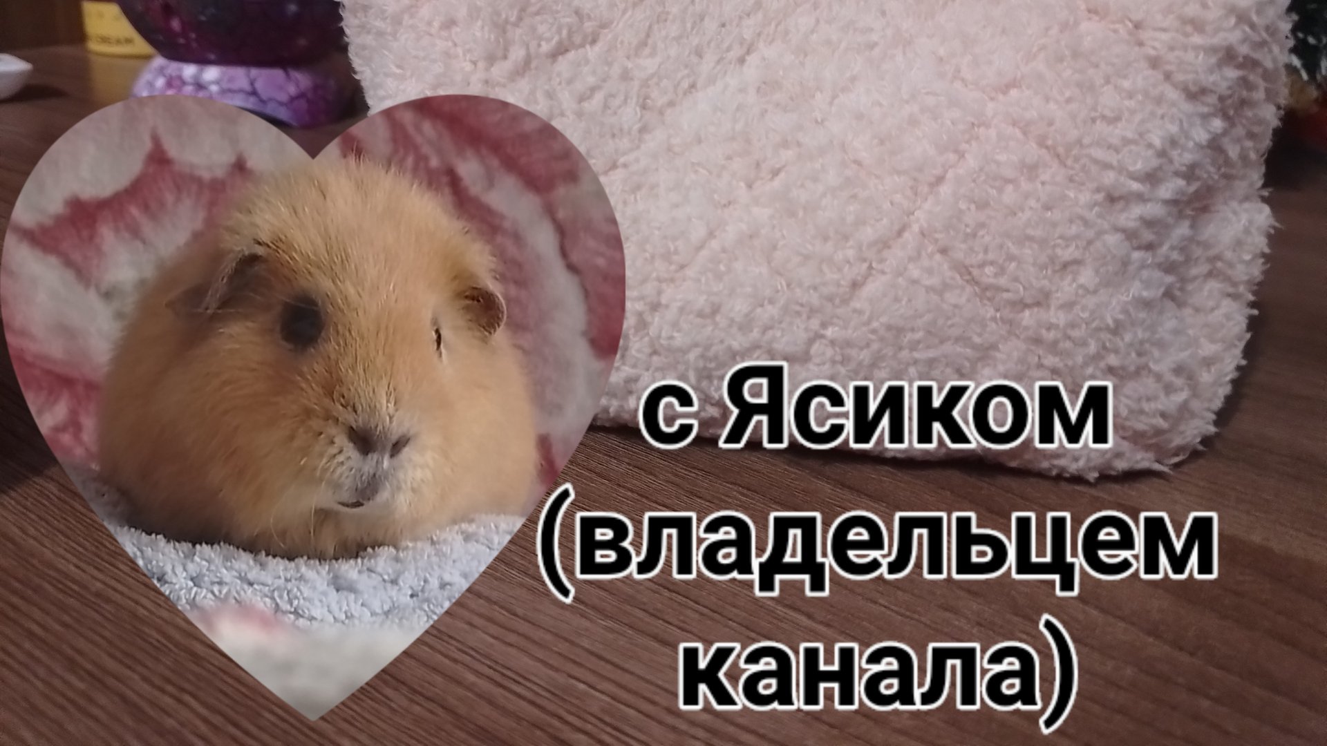 обзор на мою косметичку ( с Ясиком владельцем канала) /хороший Ясик😈/