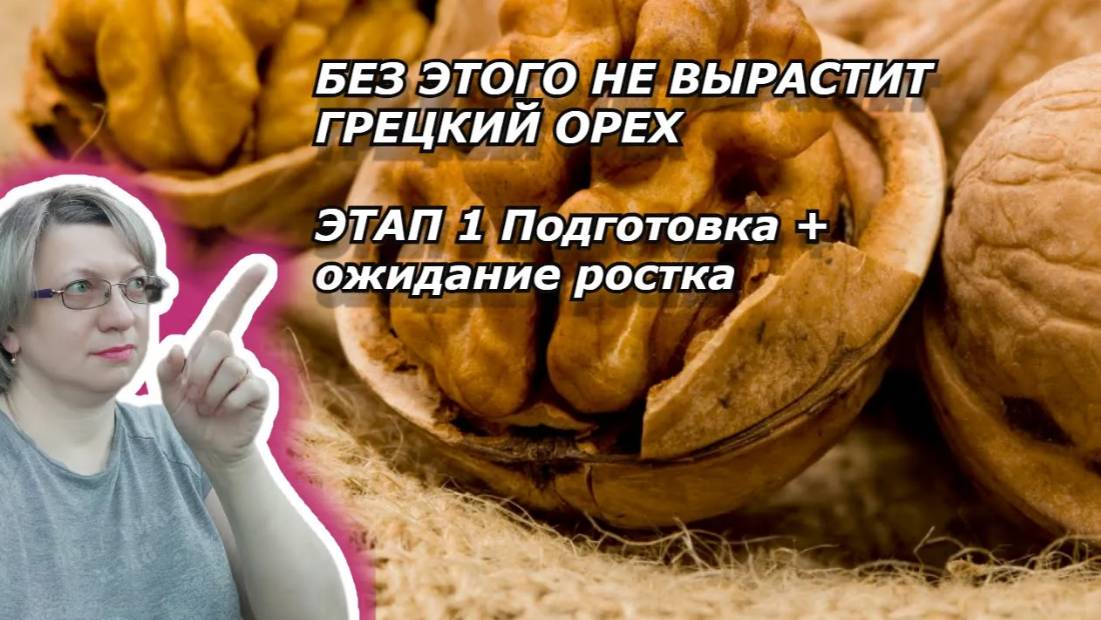 БЕЗ ЭТОГО НЕ ВЫРАСТИТ ГРЕЦКИЙ ОРЕХ | КАК САМОМУ ВЫРАСТИТЬ ГРЕЦКИЙ ОРЕХ ИЗ СЕМЯН