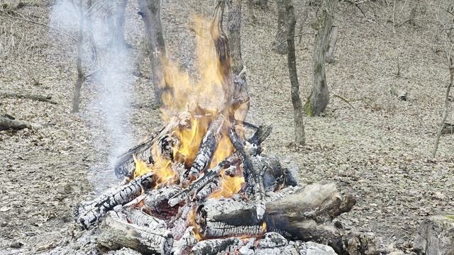Замечательный костёр в лесу!