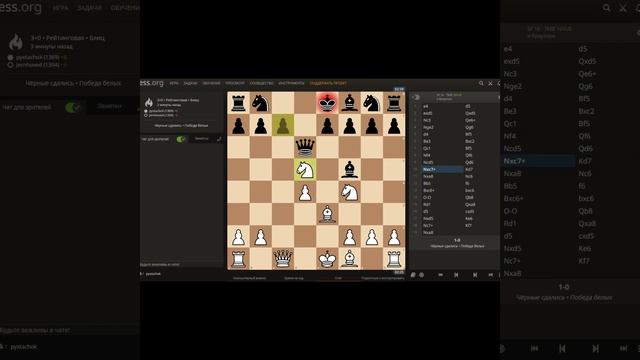 Шахматы для любителей