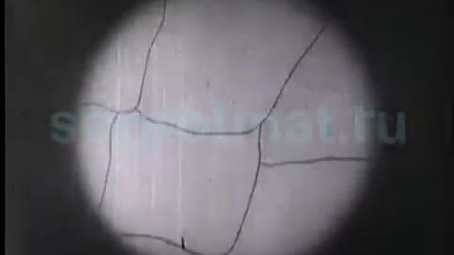 Действие переменных нагрузок