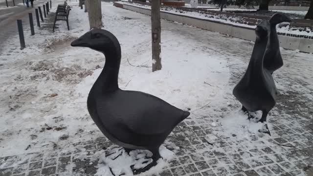 Арзамасские гуси на улицах города. И ещё одна встреча с Пушкиным.