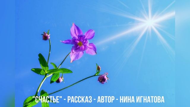 "Счастье" -  рассказ - автор Нина Игнатова