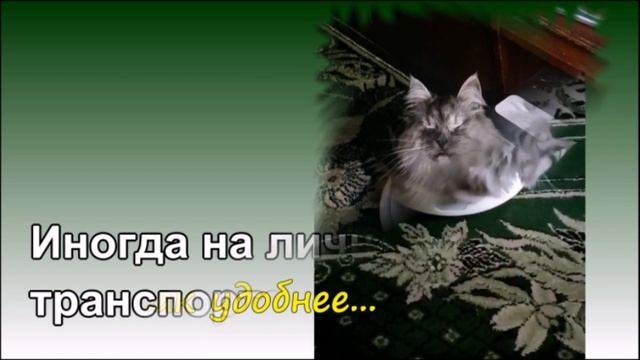 Королева красоты. С трех-летием