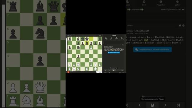 Северный гамбит #shorts