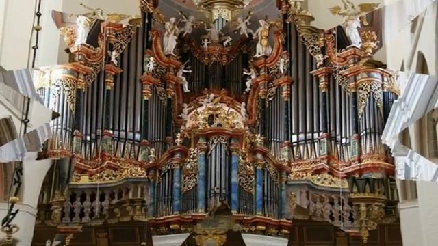 Царь музыкальных инструментов!