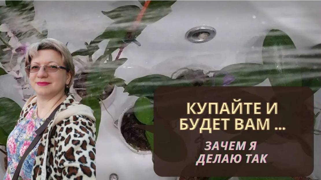 КУПАЮ ОРХИДЕИ И БУДЕТ ВАМ...| КУПАНИЕ - ПОЛИВ ОРХИДЕЙ
